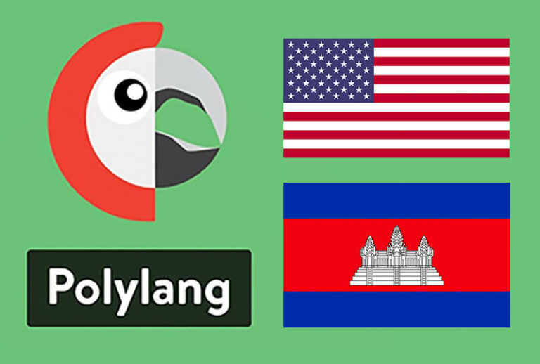Use custom designed flags in Polylang – Vannkorn